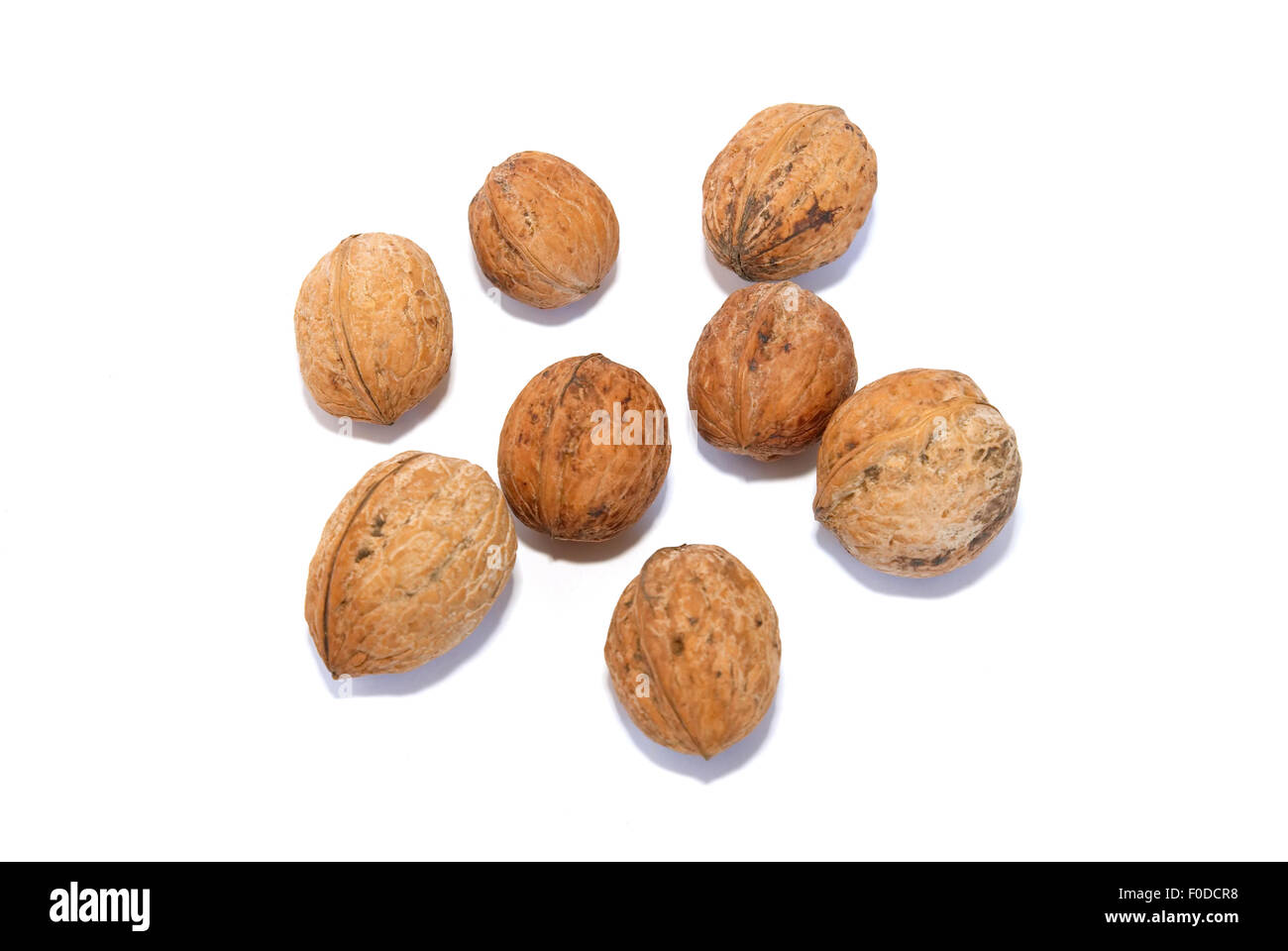 A group of walnuts isolated on white Stock Photo - Alamy