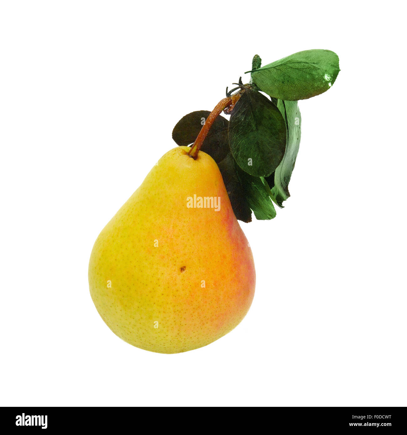 Fresh pear isolated on white Stock Photo - Alamy