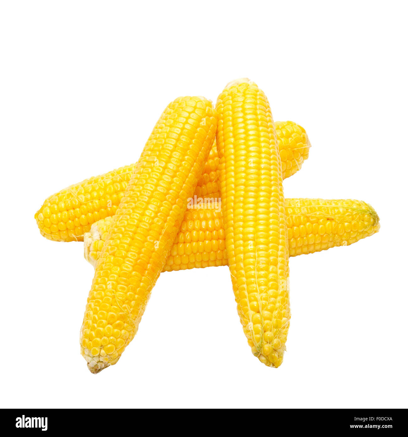 Yellow young corns isolated on white Stock Photo - Alamy