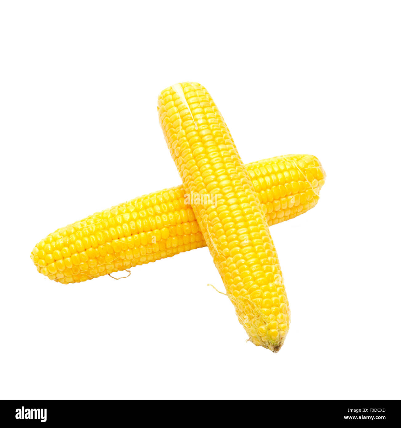 Yellow young corns isolated on white Stock Photo - Alamy