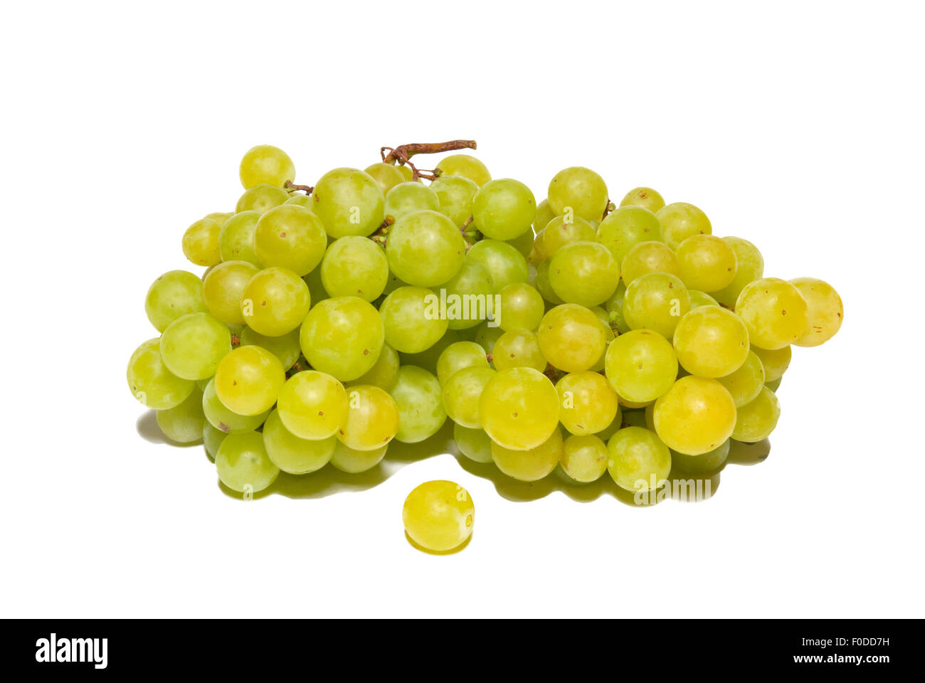 Winemaking grapes Cut Out Stock Images & Pictures - Alamy