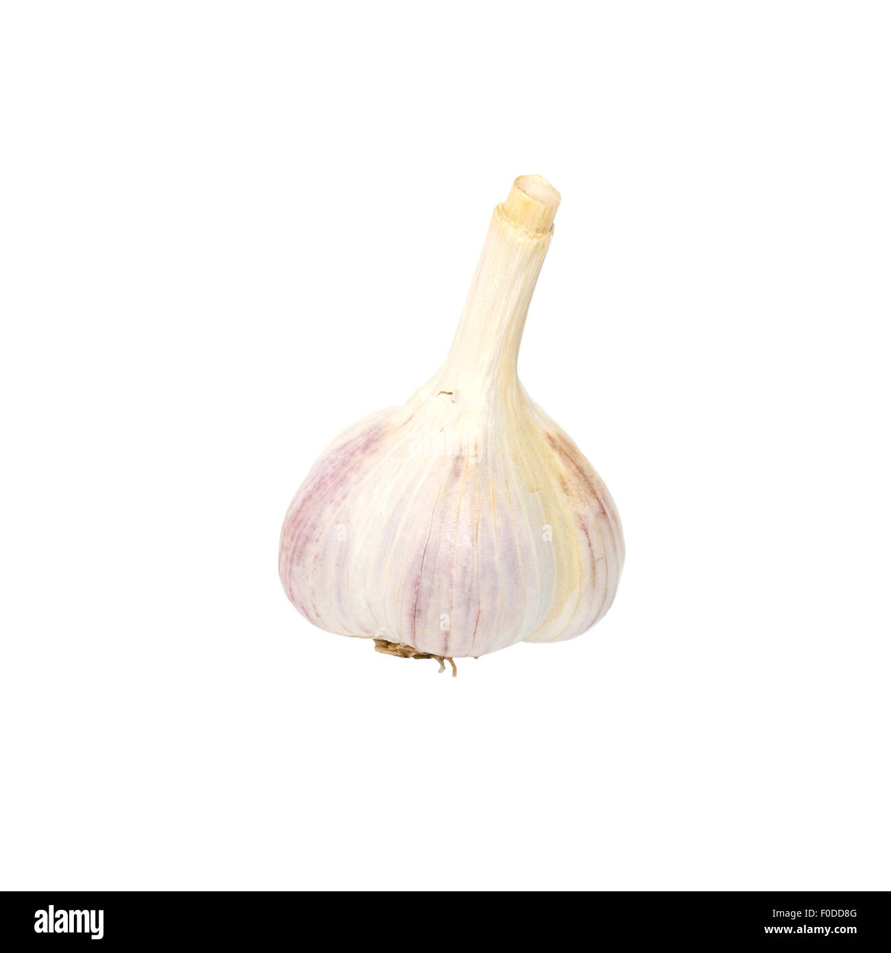 A garlic bulb isolated on white Stock Photo - Alamy