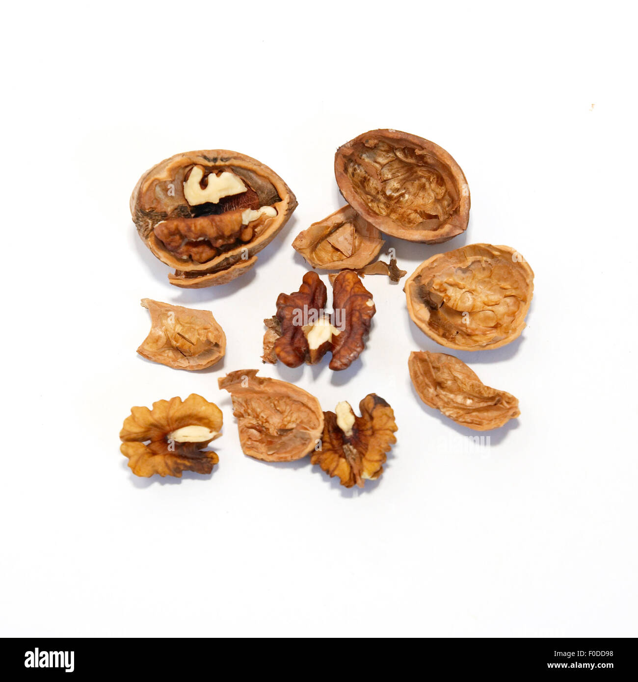A walnuts isolated on white Stock Photo - Alamy