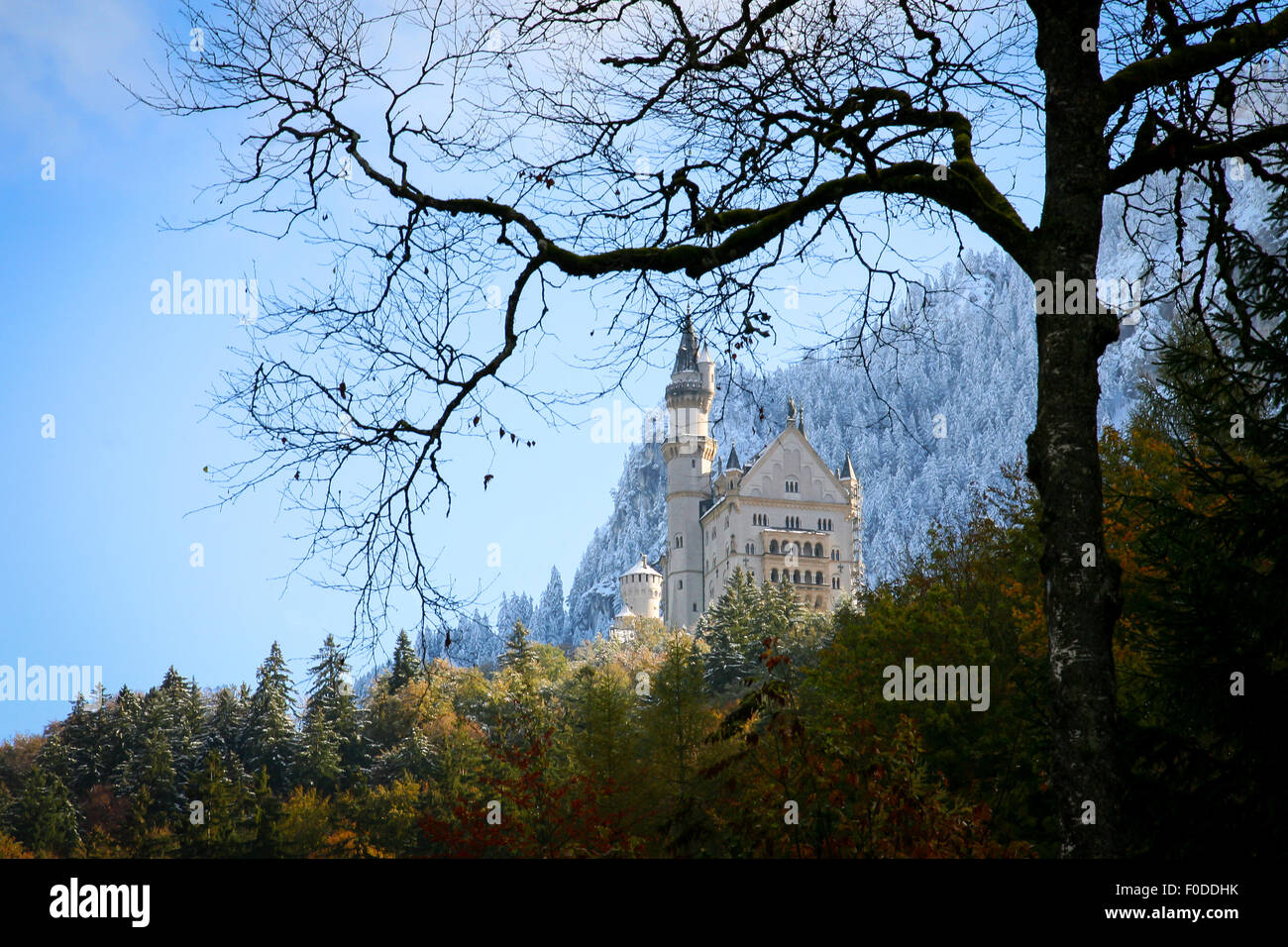 Neuschwanstein Castle in Baviera, Germany. Autumn Time Stock Photo - Alamy