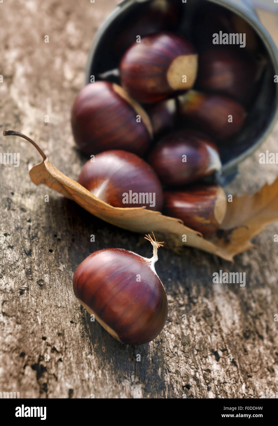 Small edible fruit hi-res stock photography and images - Alamy