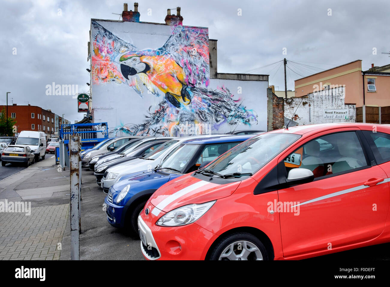 A parrot mural created by Brazilian artist Luis Seven Martins, aka LM7 ...