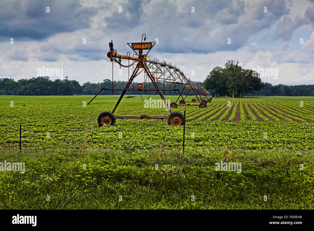 Commercial Irrigation system sitting in a bright green field with ...