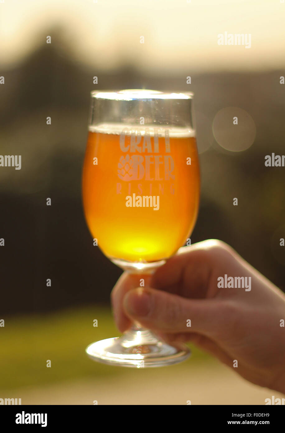 Fermentation beer home hi-res stock photography and images - Alamy