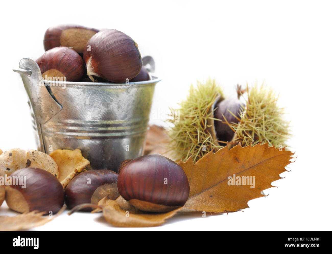 chestnuts in a little bucket ,mushrooms and leaves on white background ...