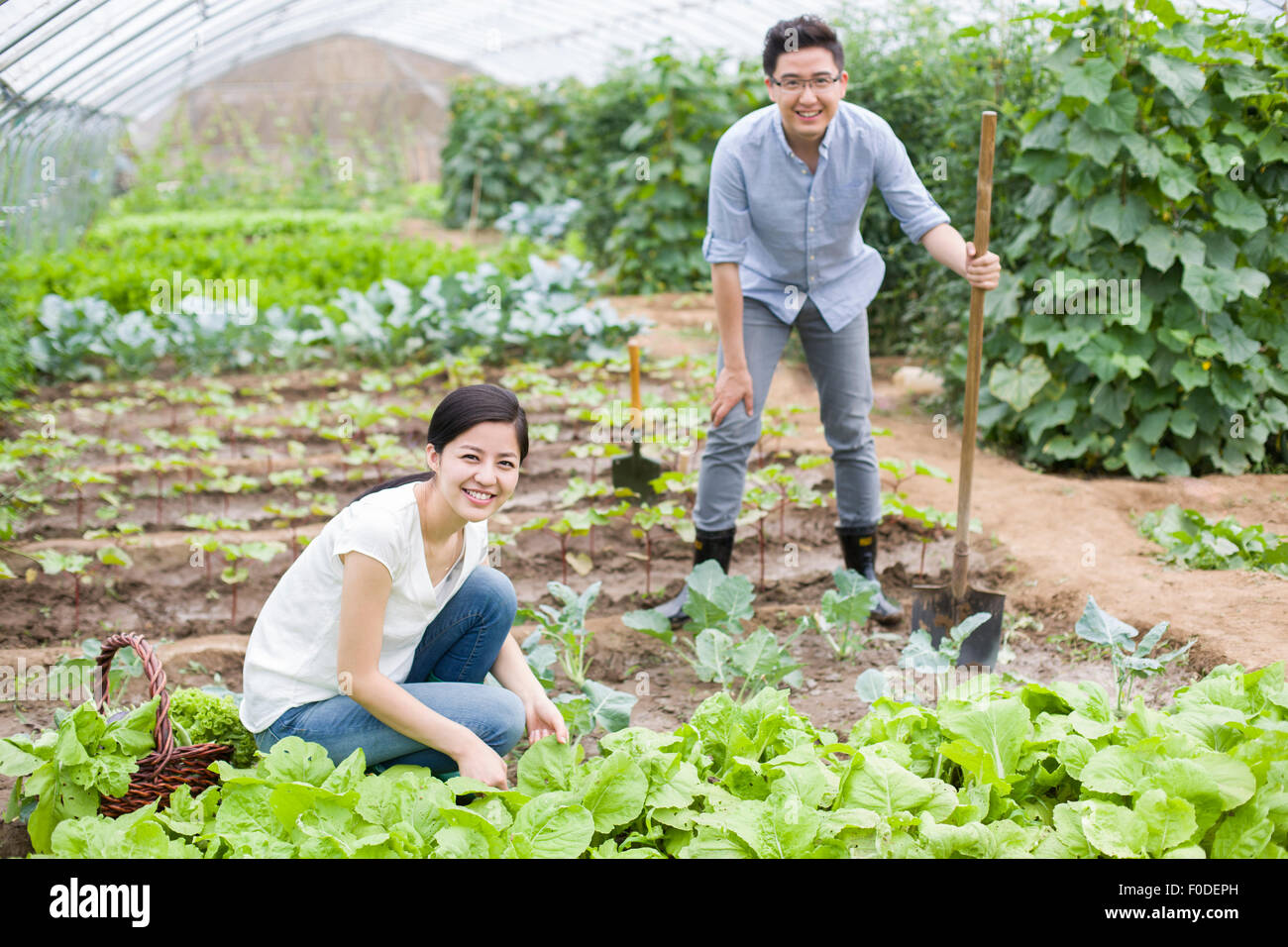 Young couple gardening together Stock Photo - Alamy