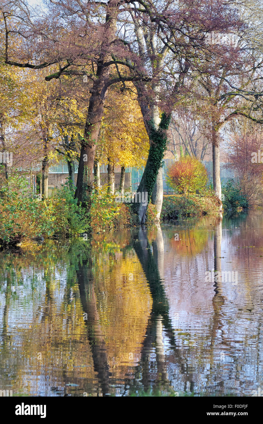trees shimmering color to the water's edge and their reflections Stock ...