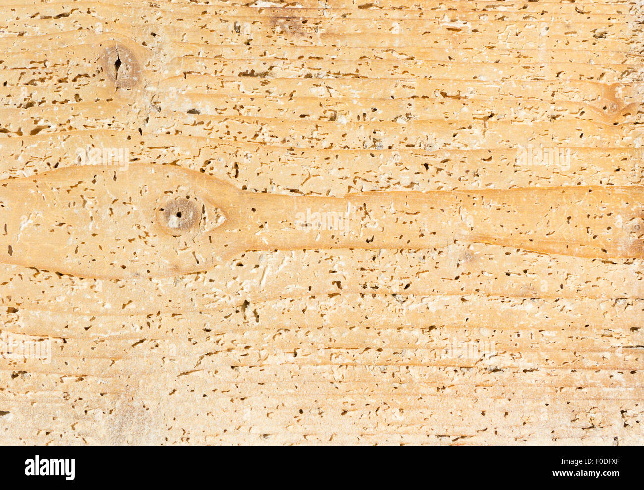 Close up of wood texture with bird's eye Stock Photo - Alamy