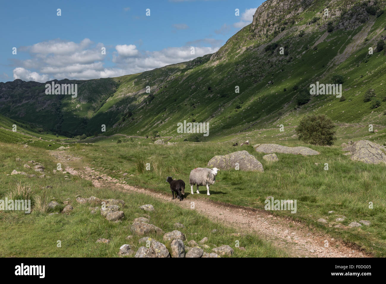 The langstrath valley hi-res stock photography and images - Alamy