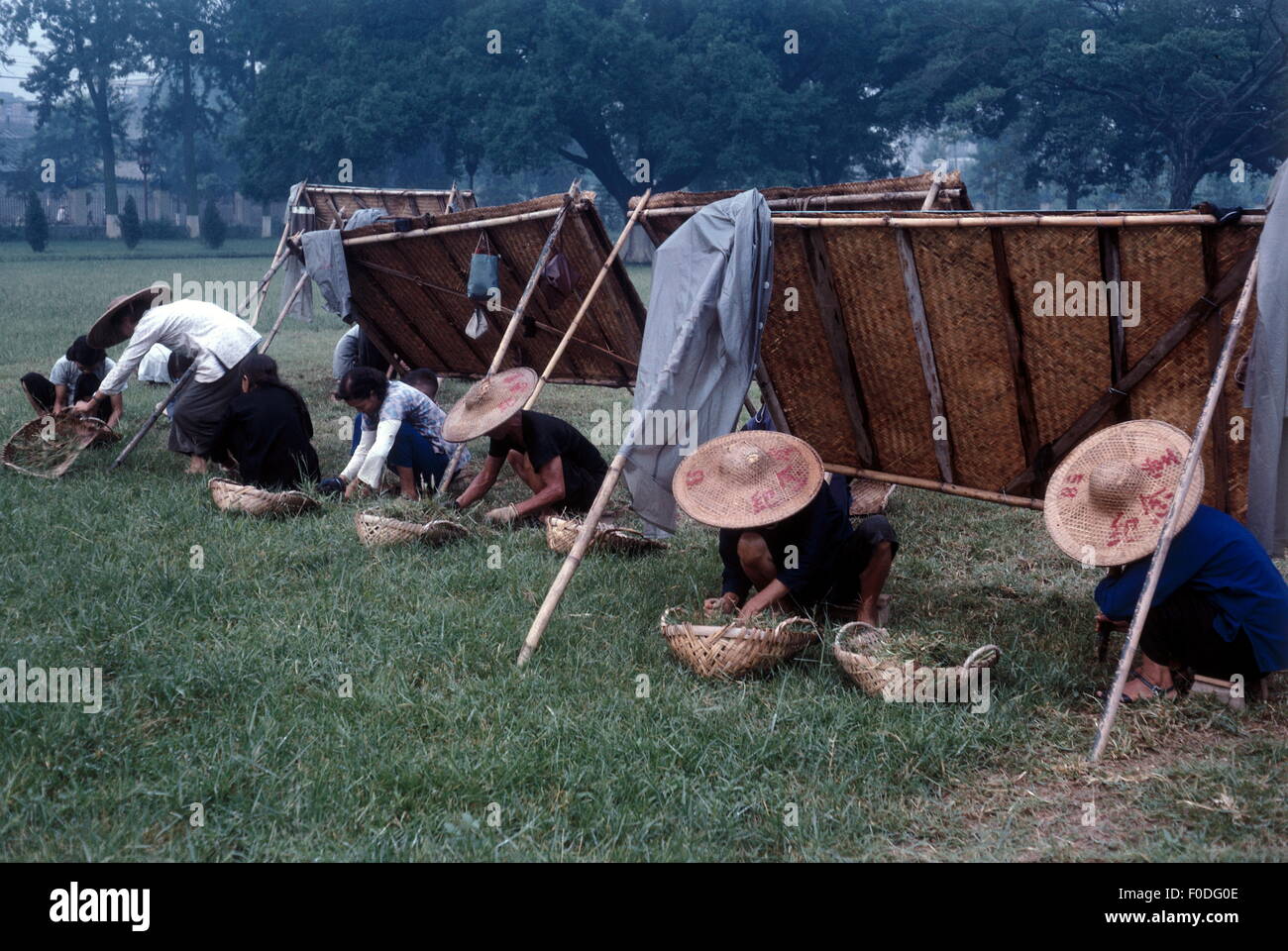 China workers rights hi-res stock photography and images - Alamy