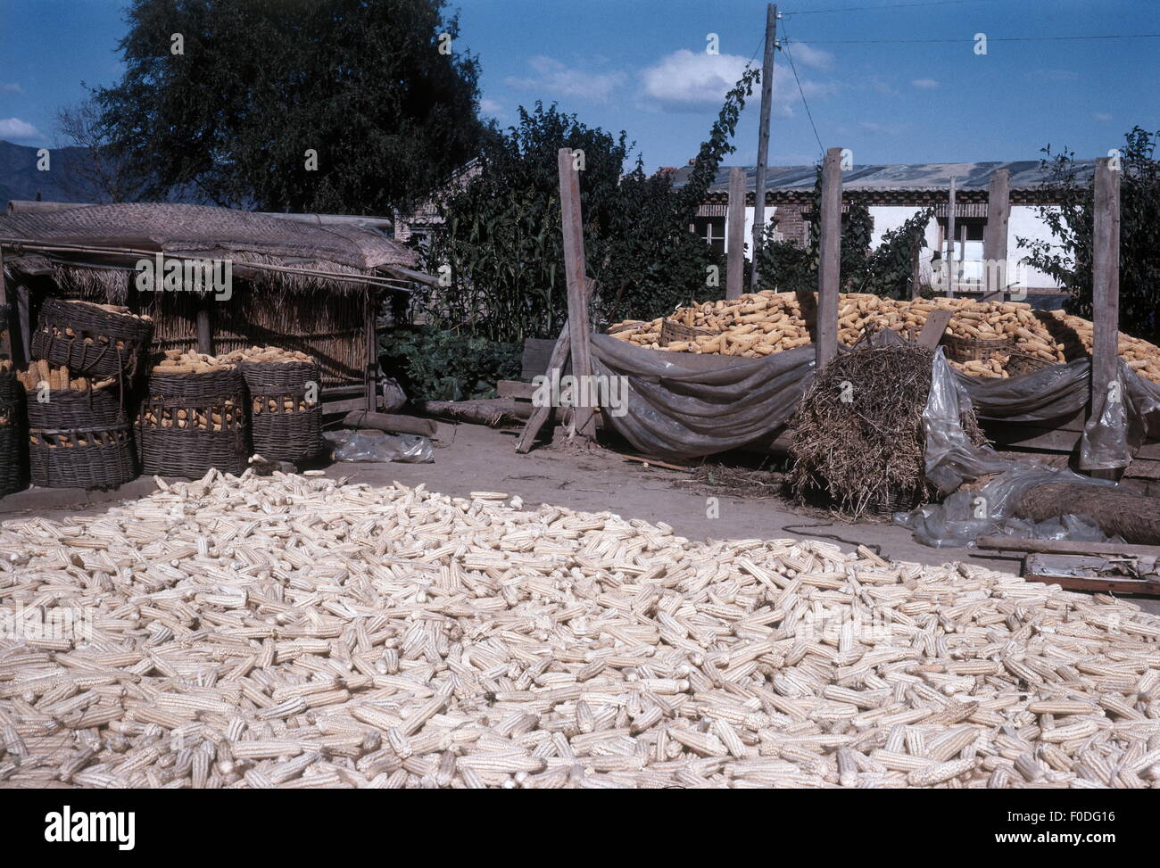 China farming 1960s hi-res stock photography and images - Alamy