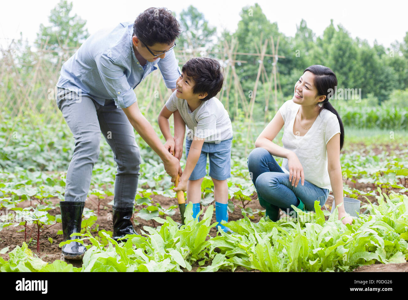Young family gardening together Stock Photo - Alamy