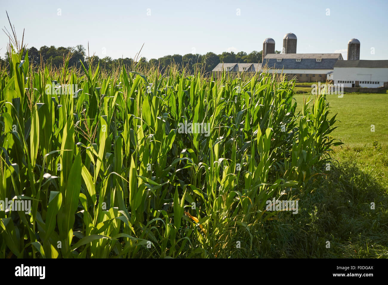 American farm background hi-res stock photography and images - Alamy