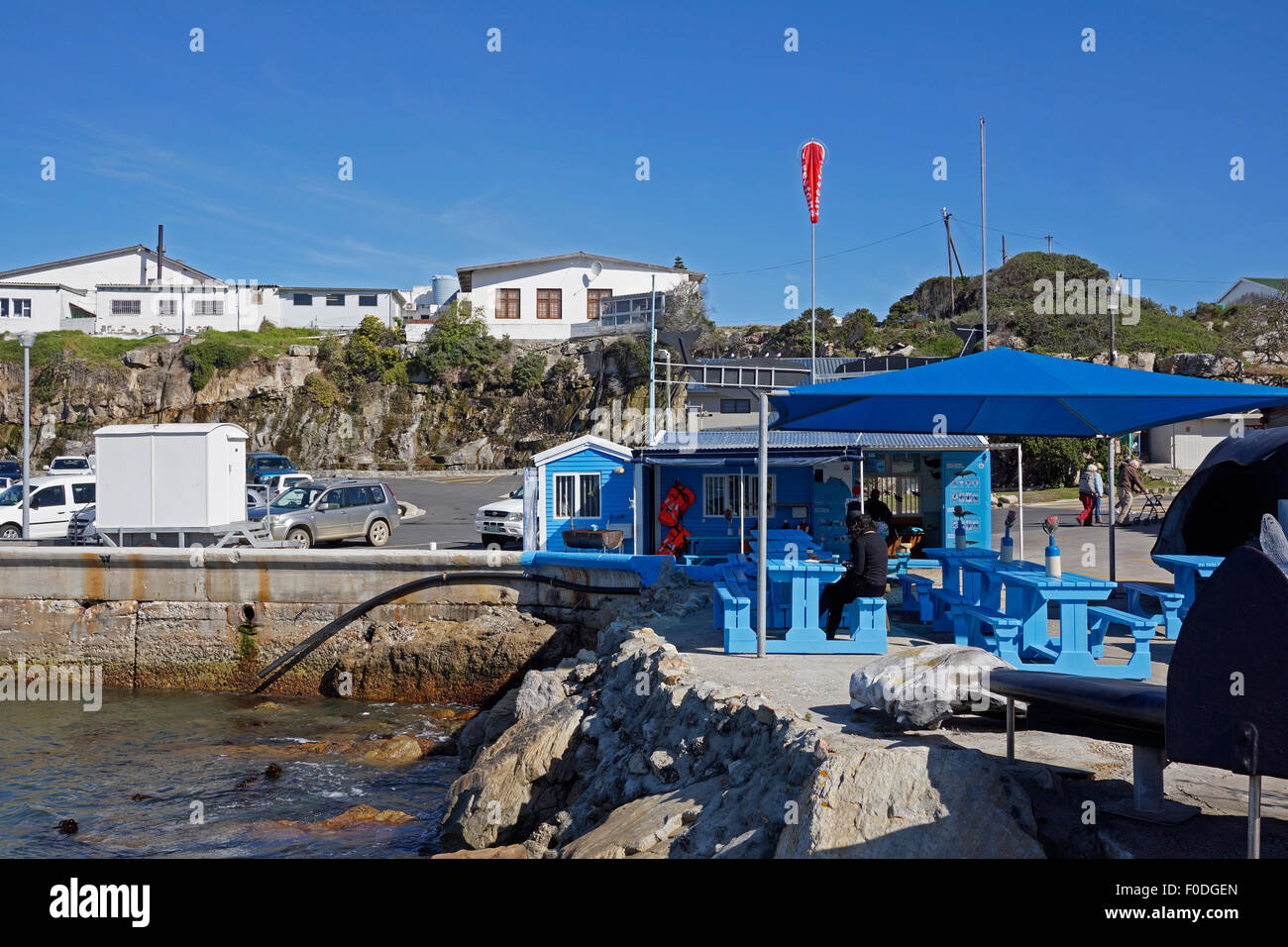 The Whale Shack in the new Harbour, Hermanus , departure point for ...