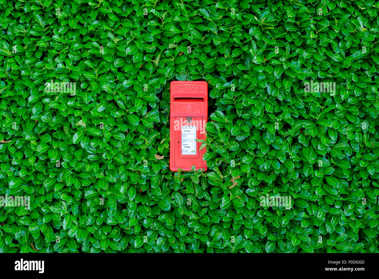 Mailbox in hedge hi-res stock photography and images - Alamy
