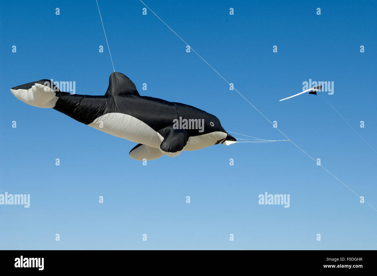 Drachen, Grossdrachen, Winddrachen, Flugdrachen Stock Photo - Alamy