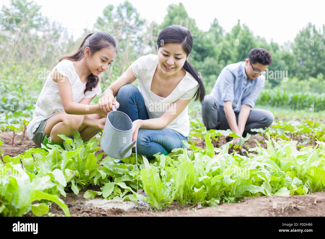 Young family gardening together Stock Photo - Alamy
