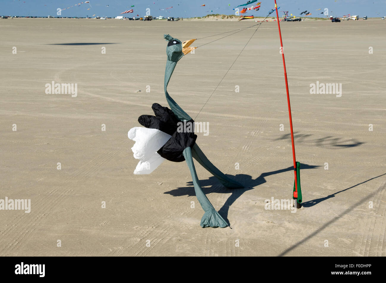 Strauss wind hi-res stock photography and images - Alamy