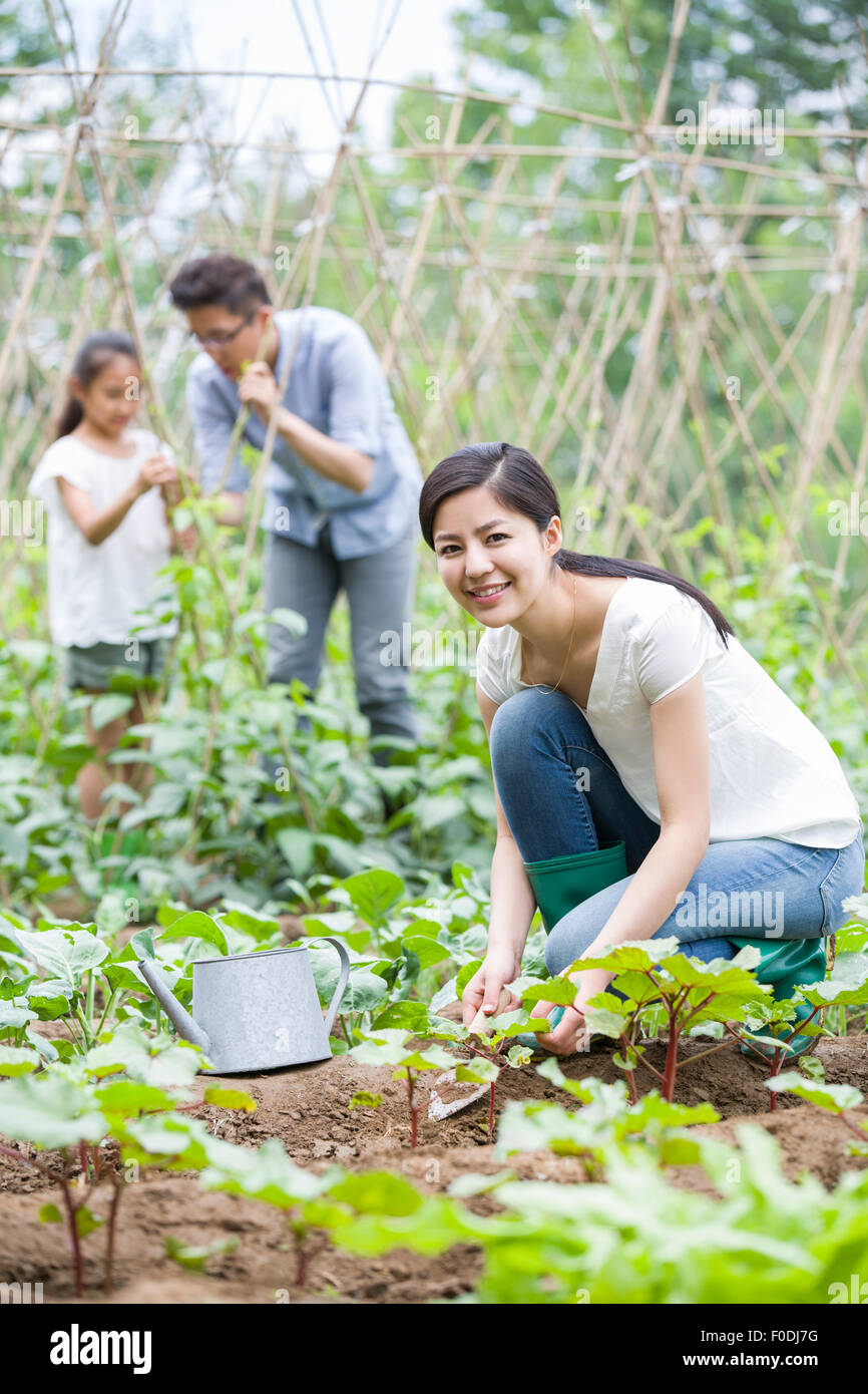 Young family gardening together Stock Photo - Alamy