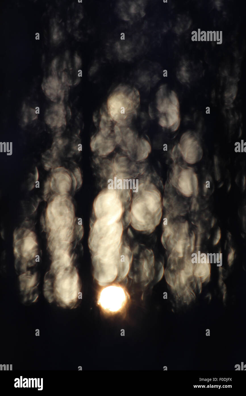 Dappled light photography hi-res stock photography and images - Alamy