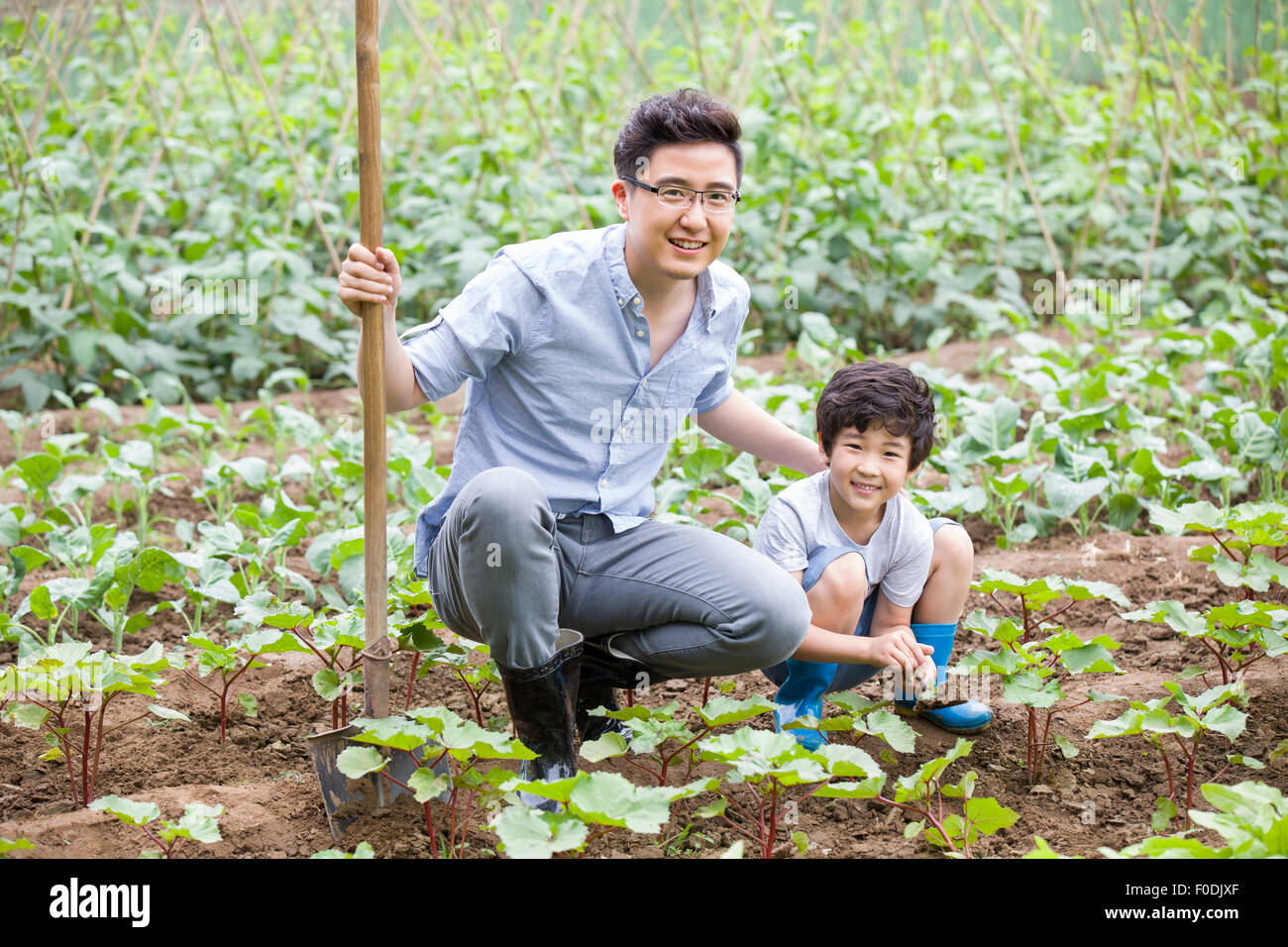 Father child, vegetable garden hi-res stock photography and images - Alamy