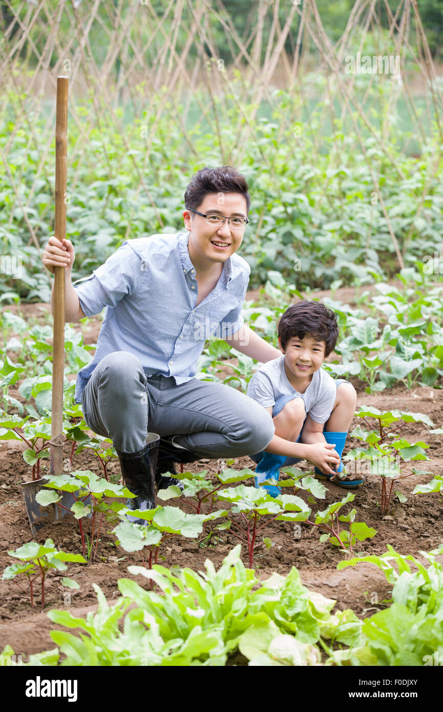 Father child, vegetable garden hi-res stock photography and images - Alamy