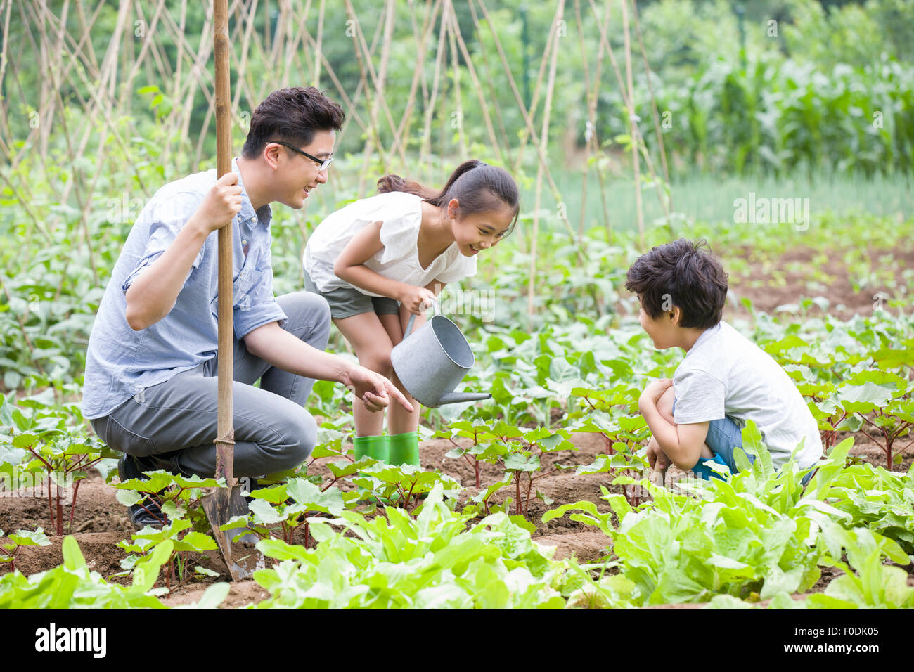 Young father and children gardening together Stock Photo - Alamy
