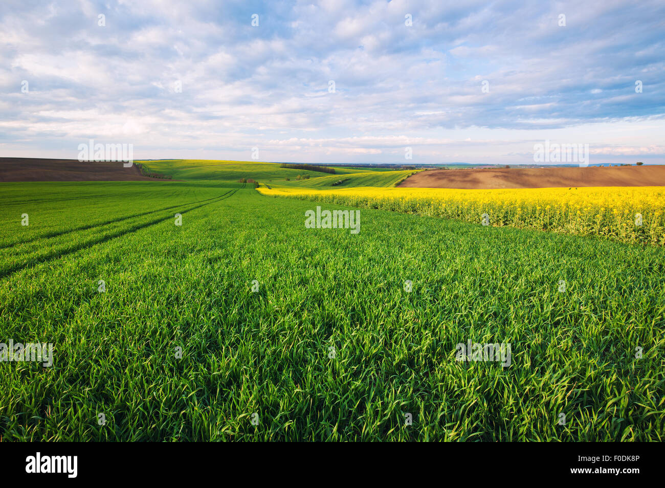 Beautiful rural landscape Stock Photo - Alamy