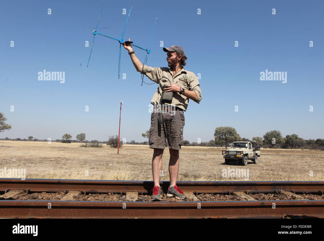 Lion device hi-res stock photography and images - Alamy