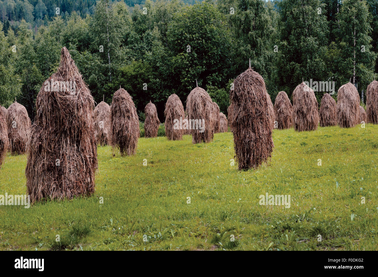 Square haystack in field rural hi-res stock photography and images - Alamy