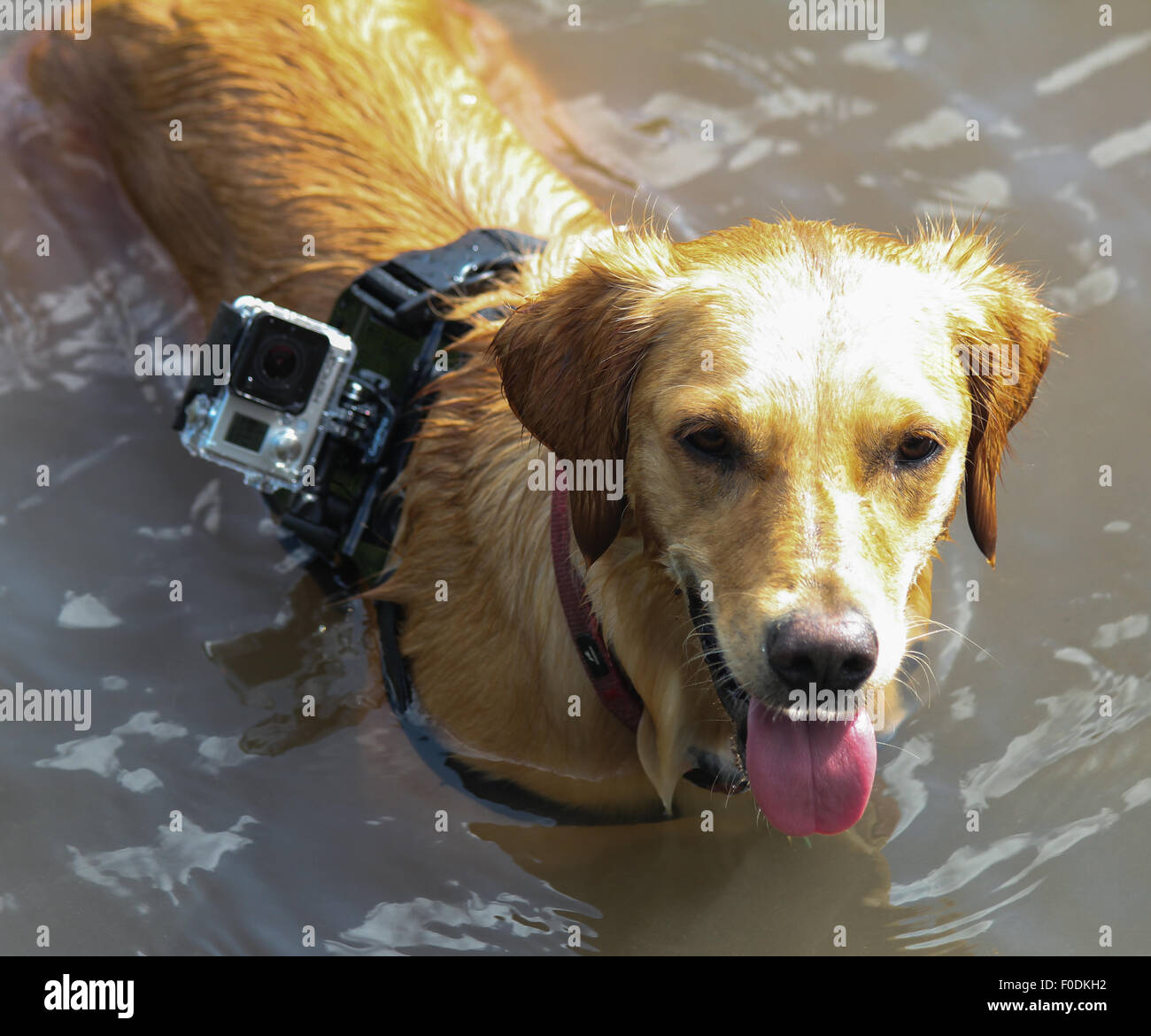 Gopro camera hi-res stock photography and images - Alamy