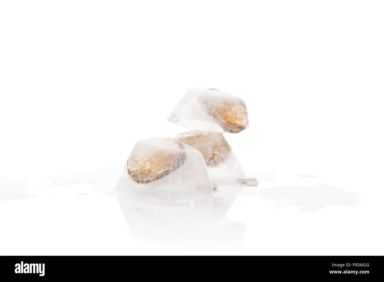 Frozen money. Euro coins frozen in ice cubes isolated on white ...