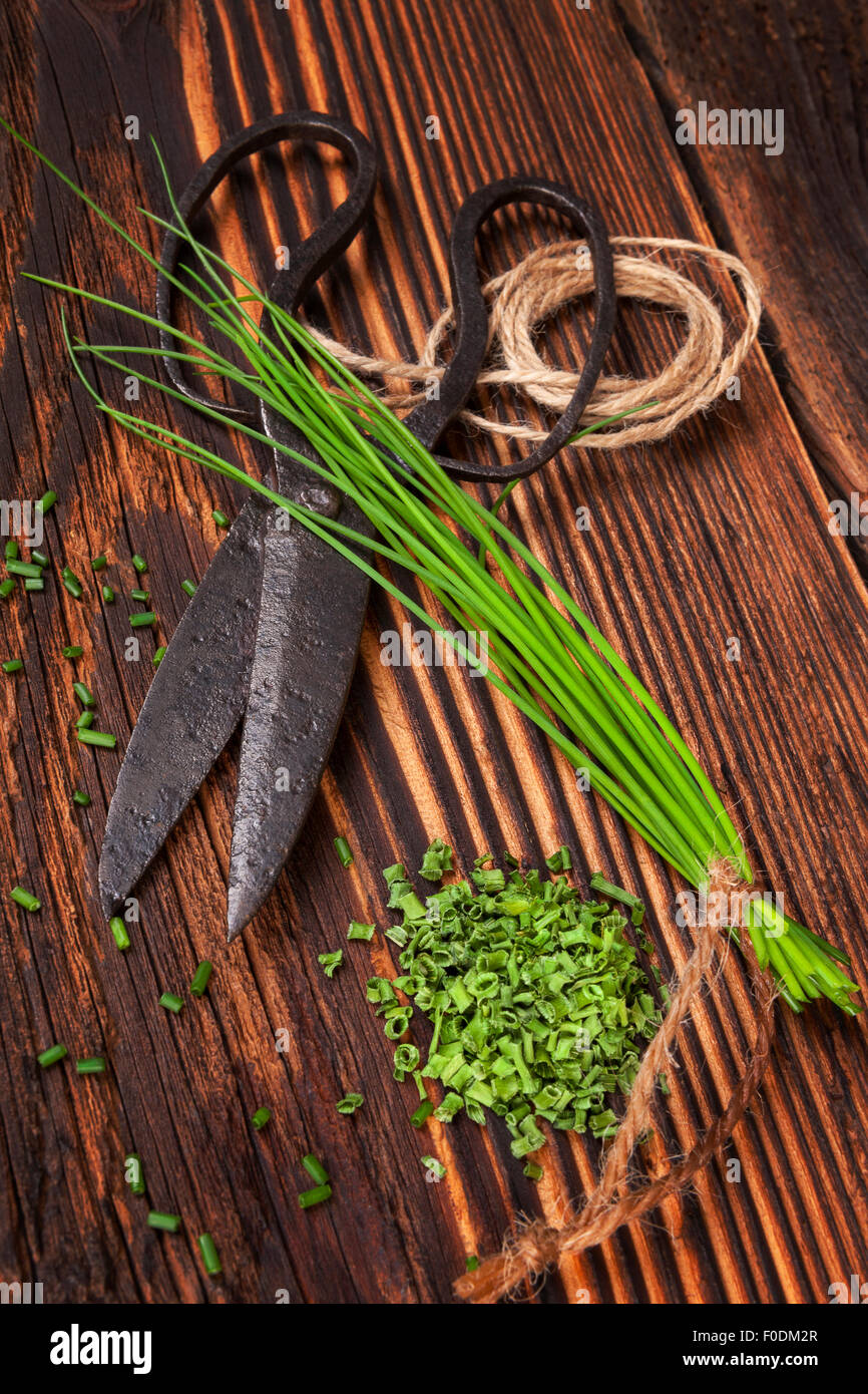 Fresh and dry chives herb with vintage scissors on rustic wooden ...