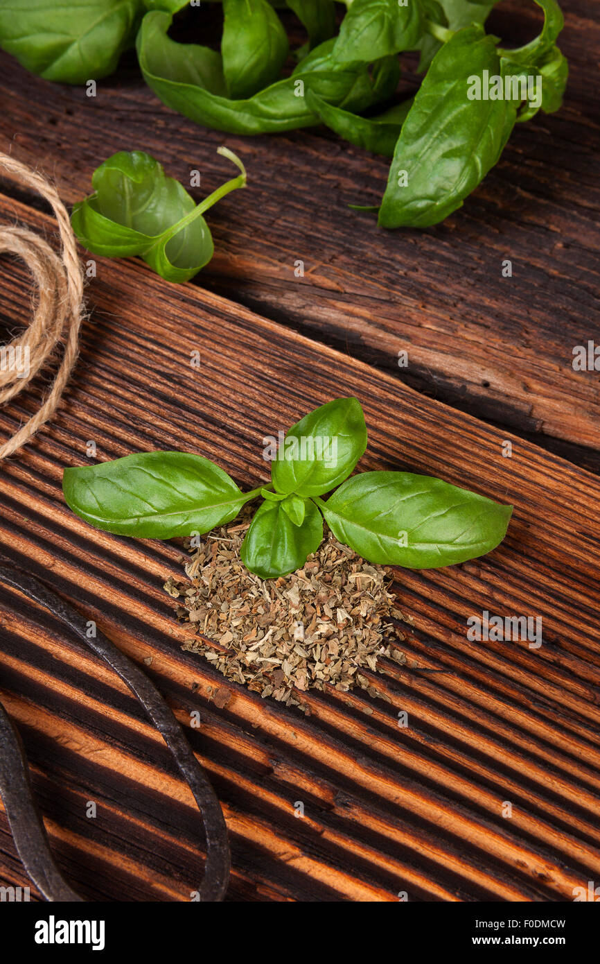 Aromatic culinary herbs, basil. Fresh and dry basil herb with vintage ...