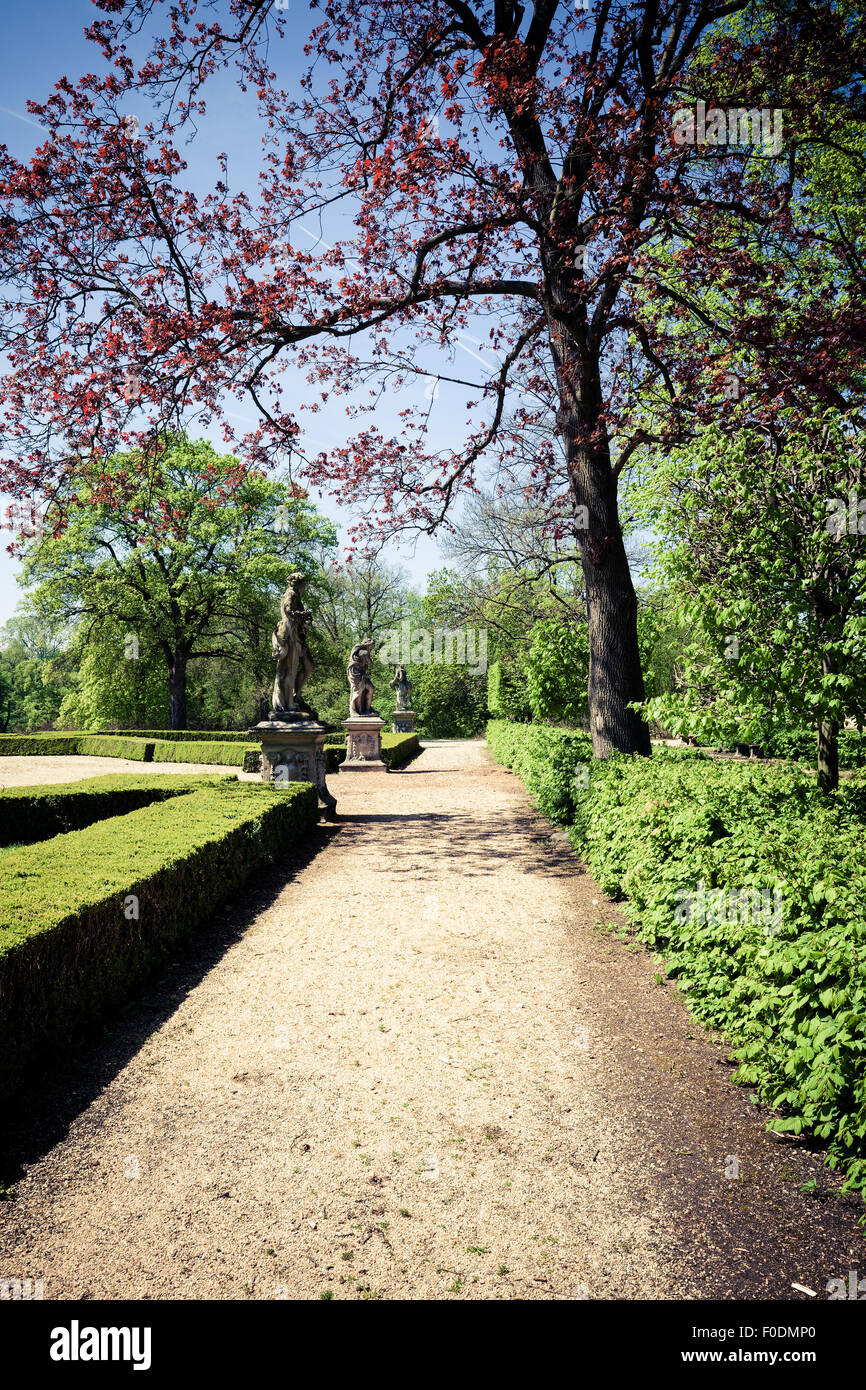Old park at sunny day Stock Photo - Alamy