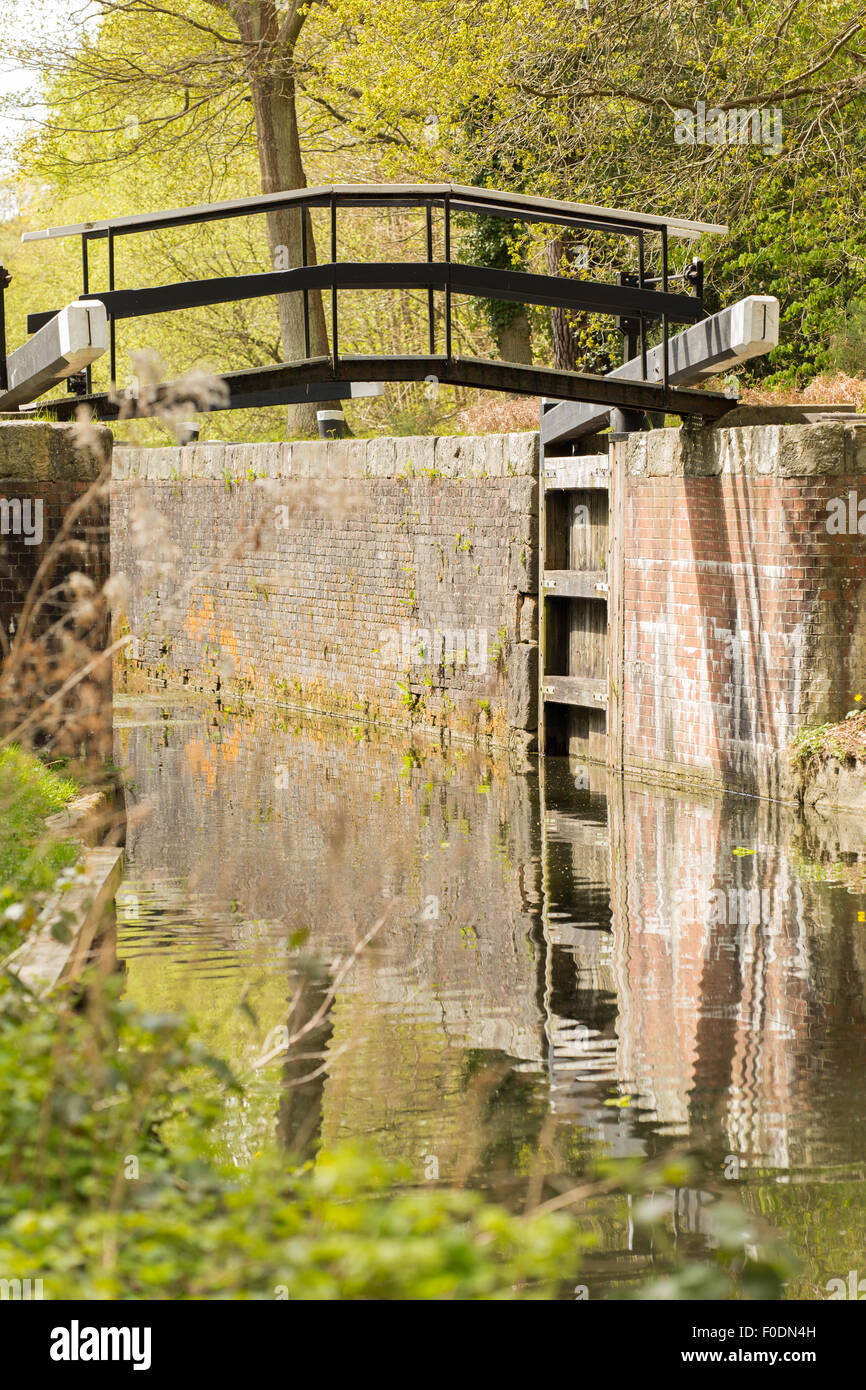 Bridge on basingstoke canal hi-res stock photography and images - Alamy