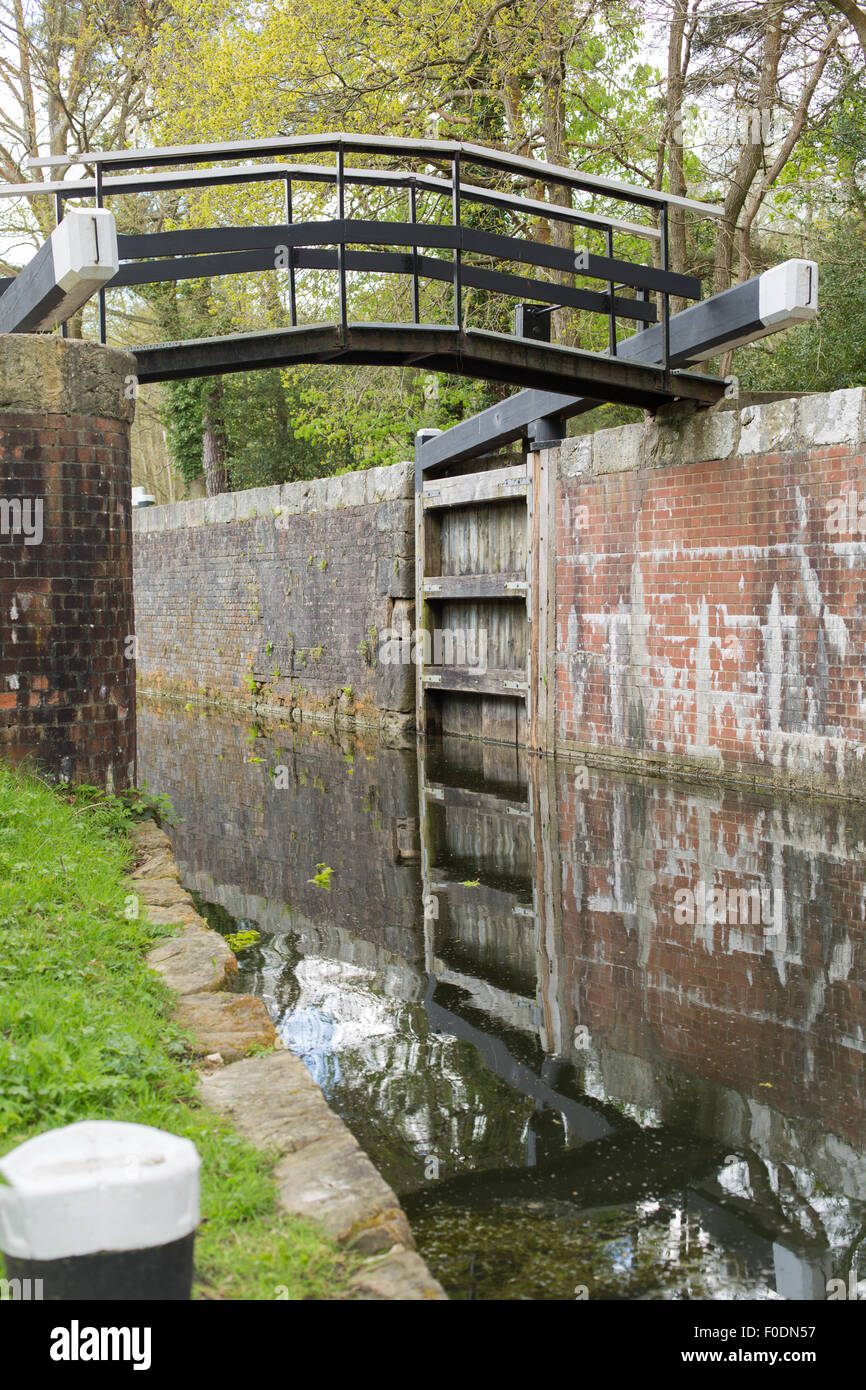 Low view upstream of lock on the Basingstoke Canal Stock Photo - Alamy