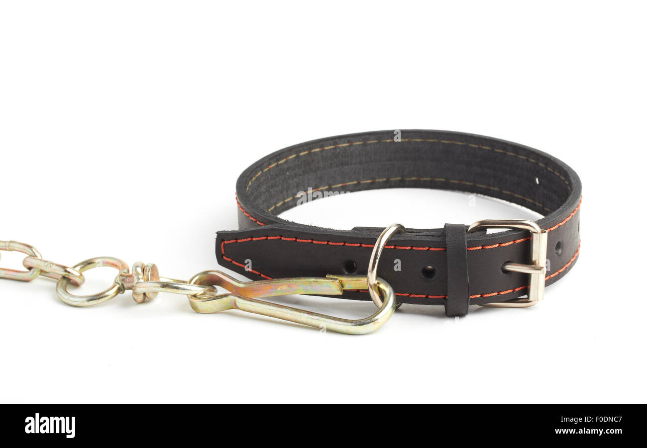 Broken dog collar hi-res stock photography and images - Alamy