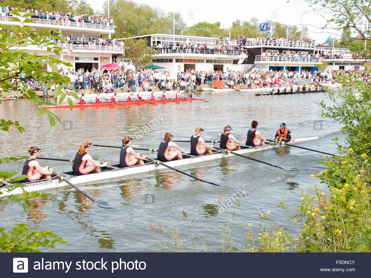 Eights Stock Photos & Eights Stock Images - Alamy
