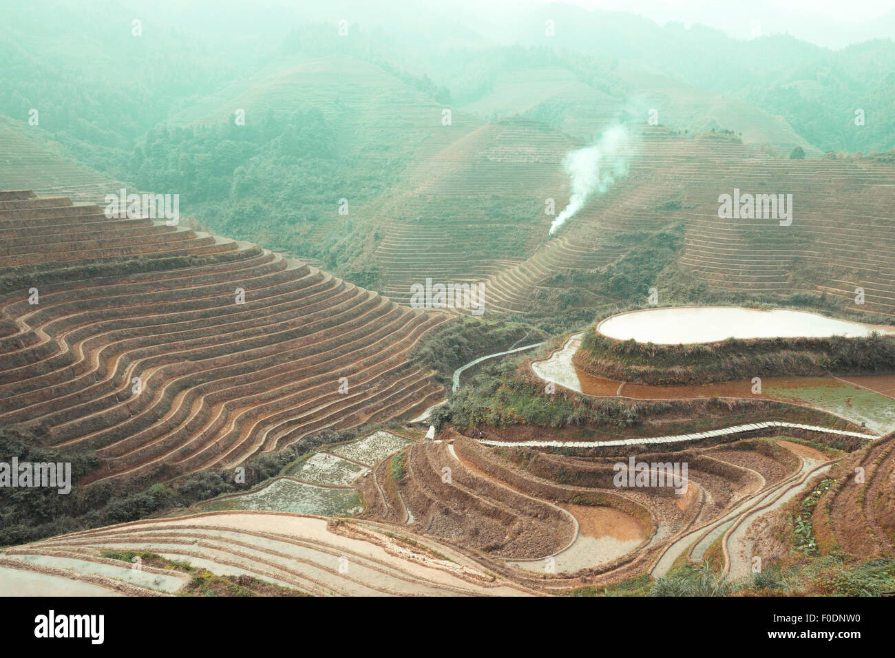 Sunlight Leaf Terrace High Resolution Stock Photography and Images - Alamy