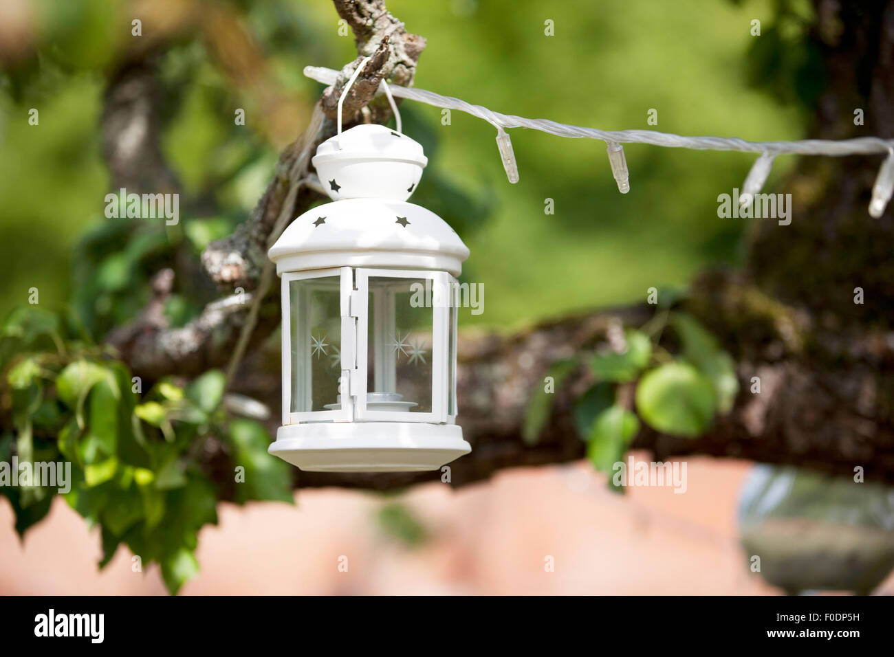 Hanging garden lantern hi-res stock photography and images - Alamy
