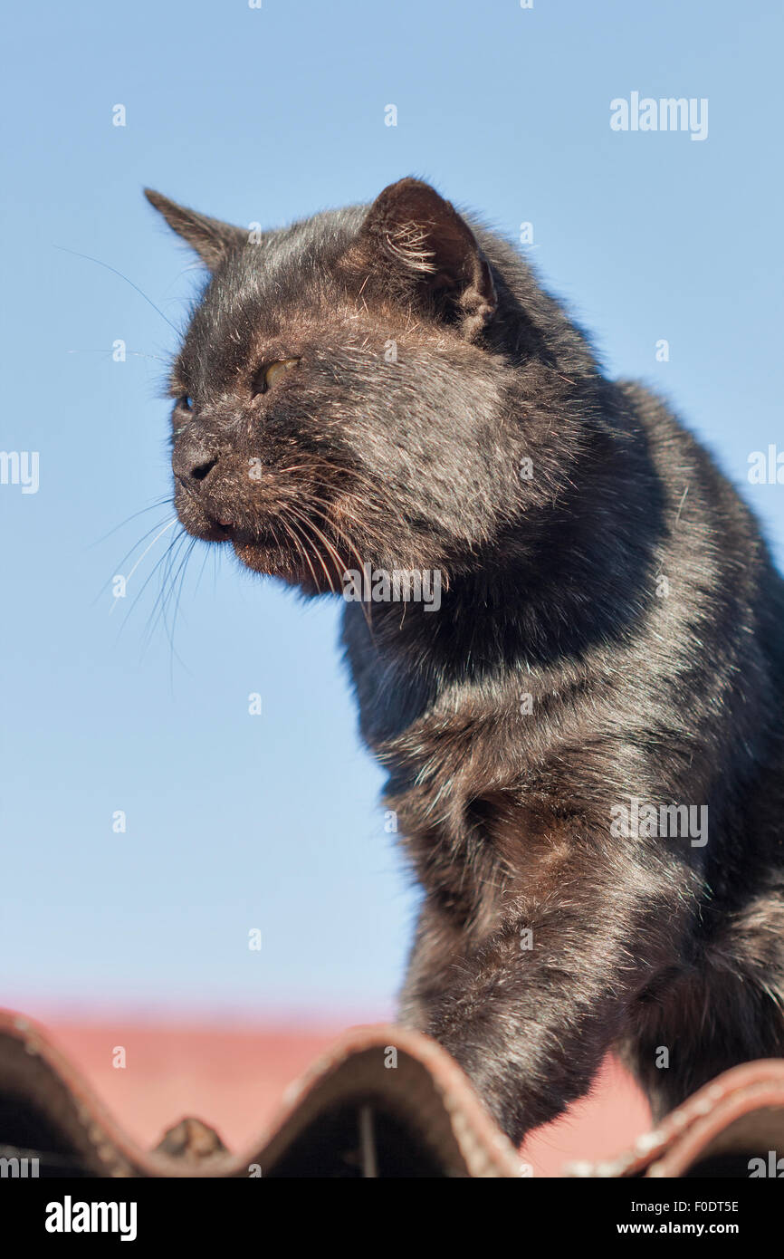 Black trouble hi-res stock photography and images - Alamy