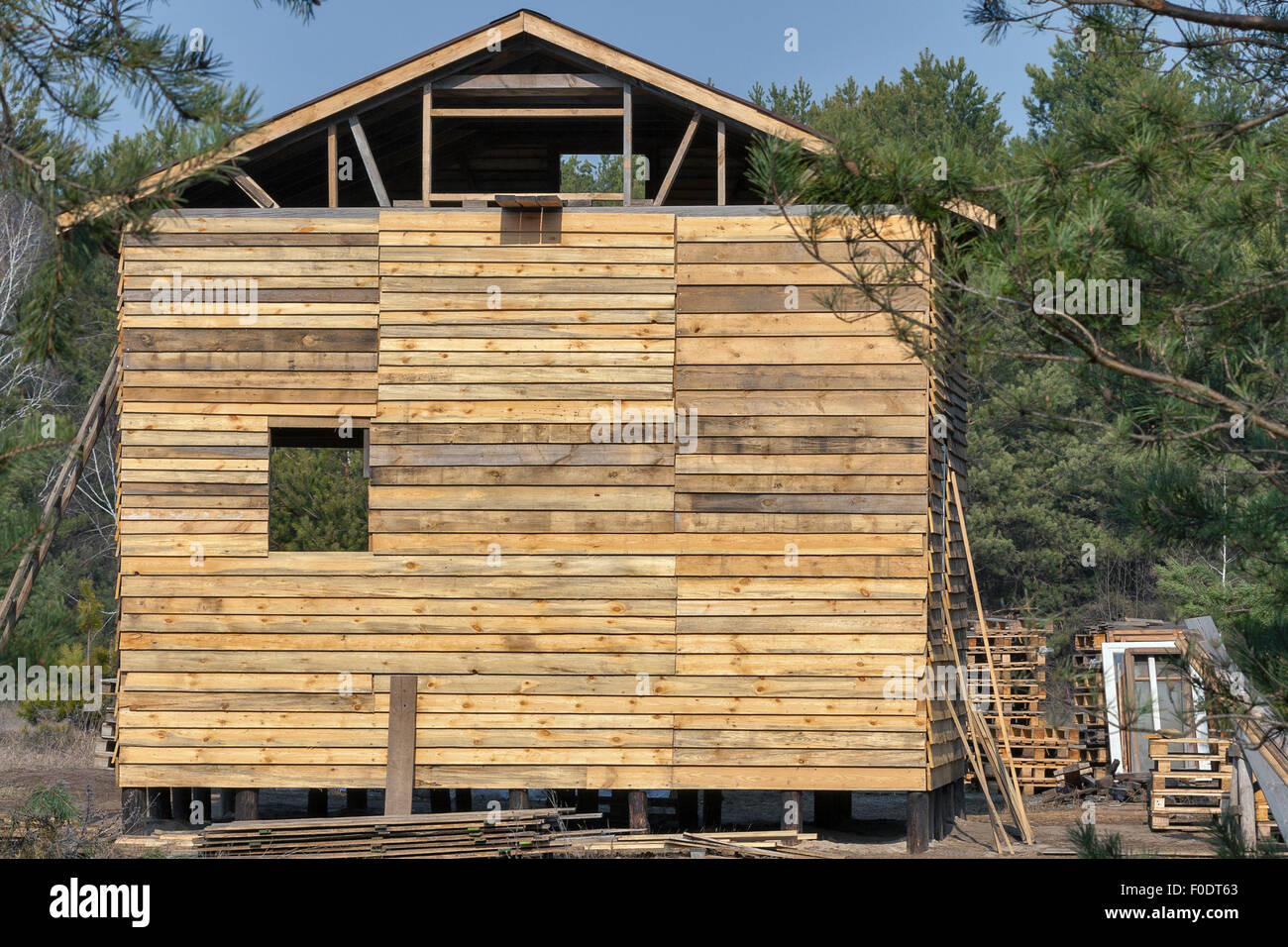 Construction of a wooden house in a pine forest Stock Photo - Alamy
