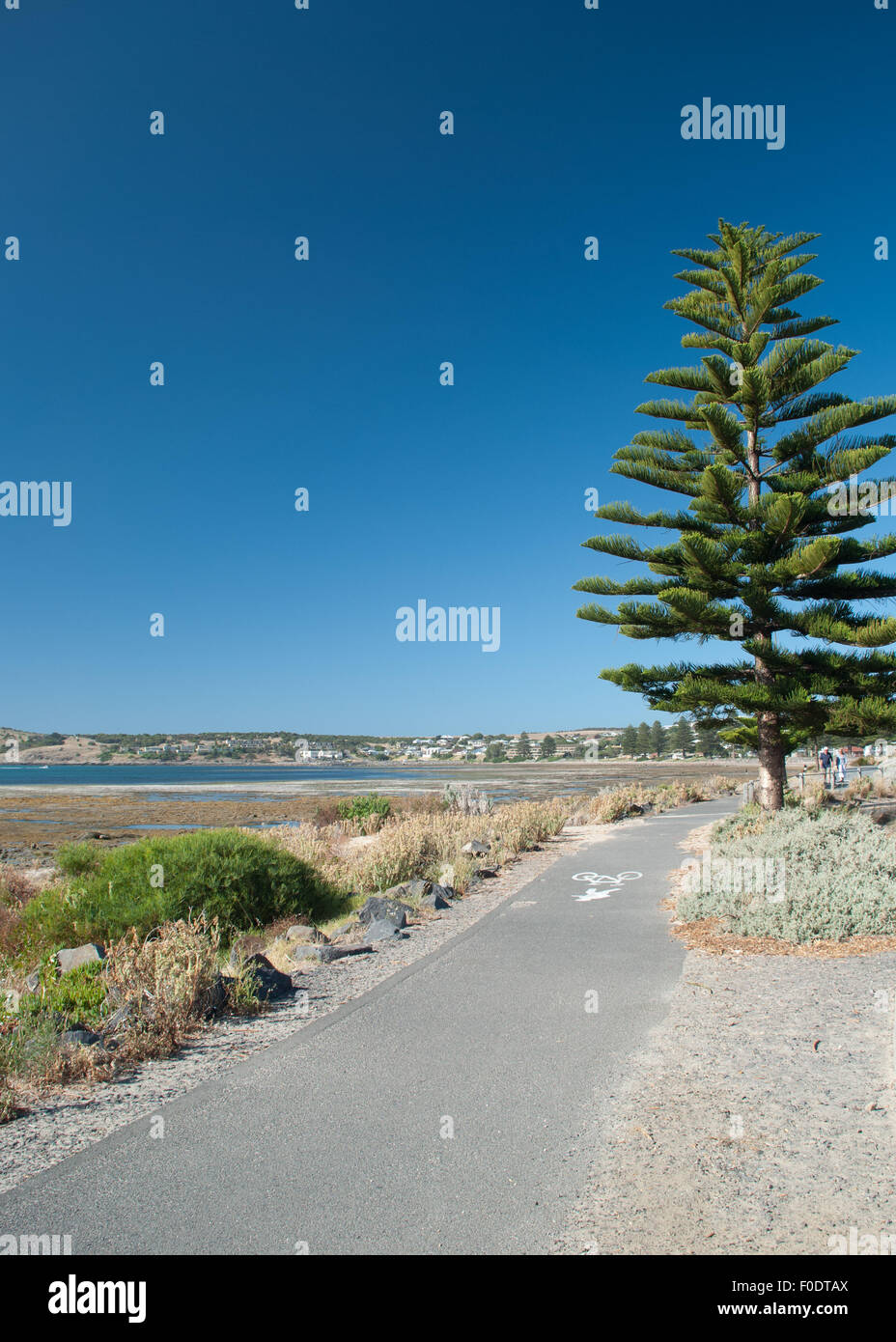 Open are cycle path in Australia Stock Photo - Alamy