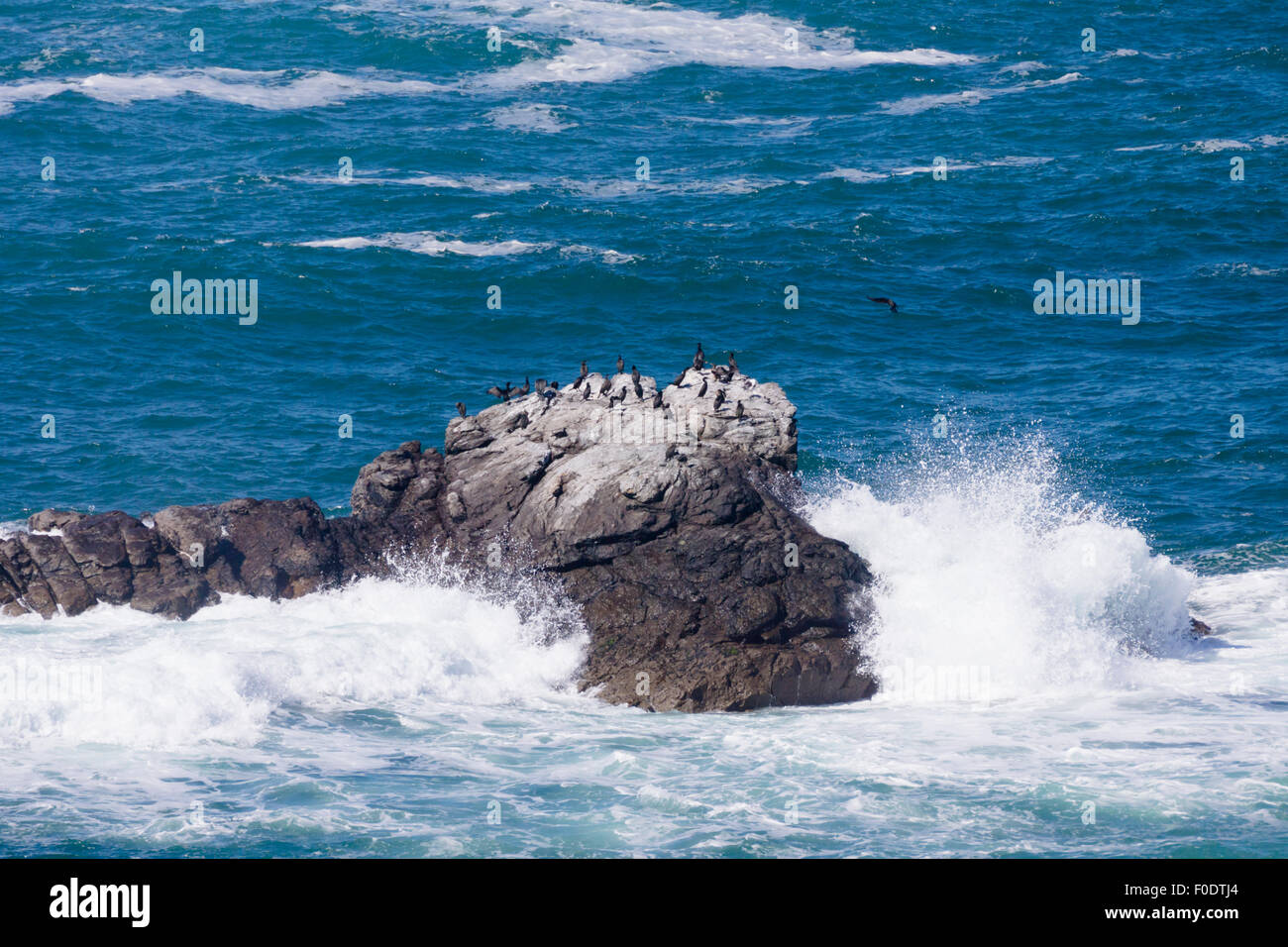 The rocks around Old Lizard Head Lizard Point Cornwall England UK Stock ...