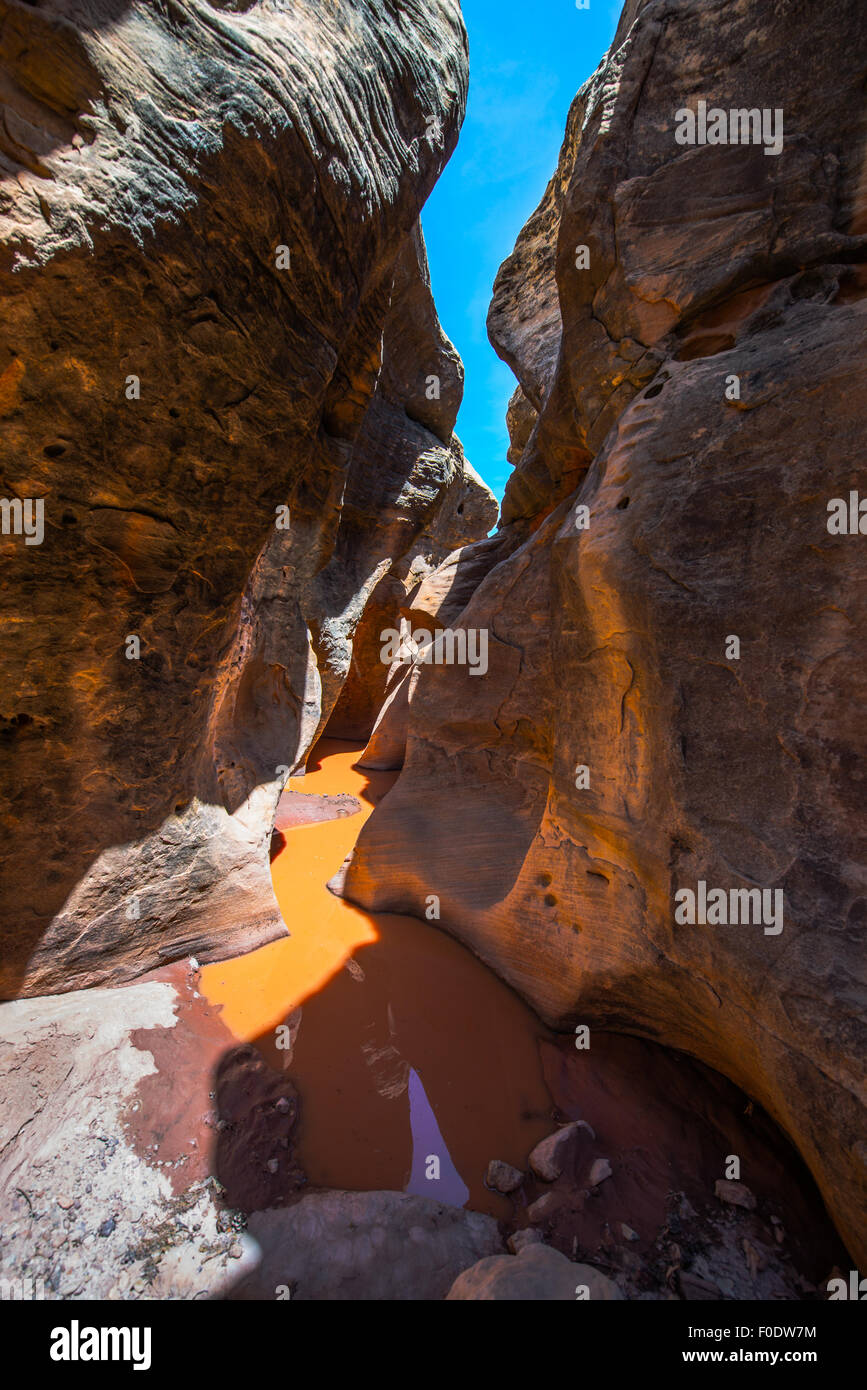 Beautiful Narrow Slot Canyon filled with water Capitol Reef National ...